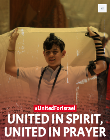 United For Israel Flyer